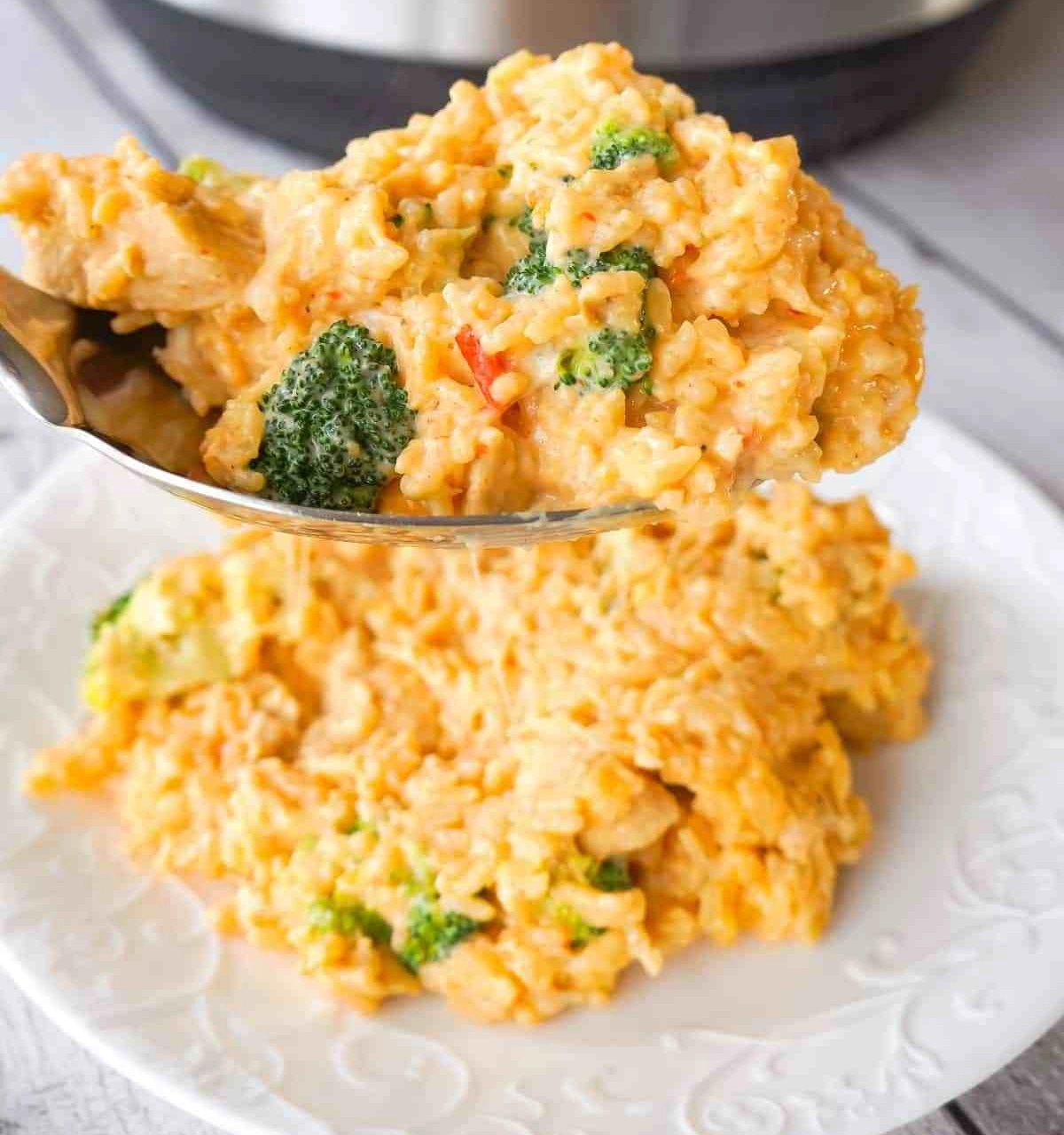 Insta-Cooker Cheesy Broccoli Chicken and Rice | Milk For Health